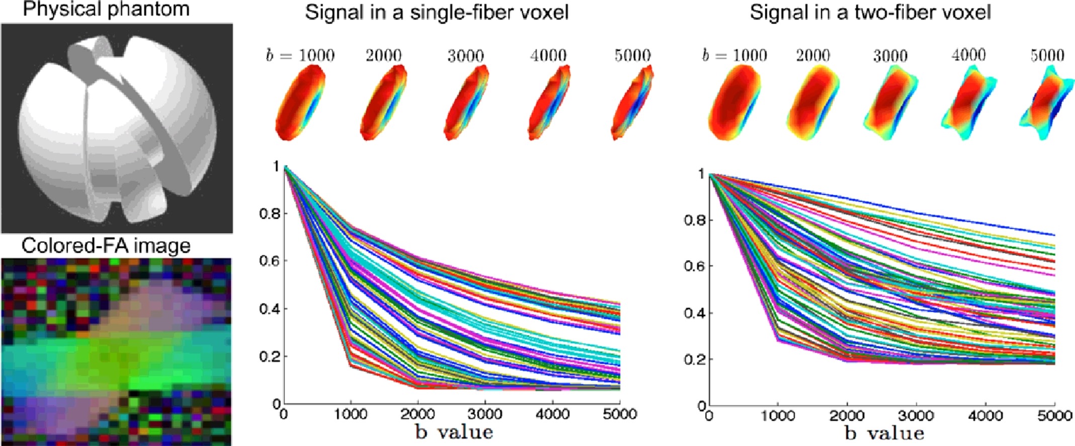Sparse Reconstruction Challenge for diffusion MRI: Validation on a physical phantom to determine ...